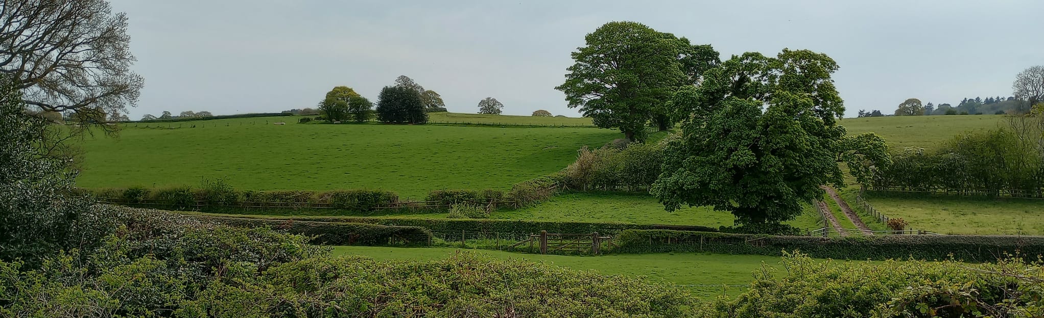Glasfryn and Gwysaney Circular: 171 Reviews, Map - Flintshire, Wales ...