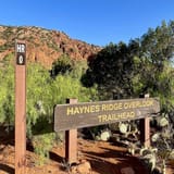 Haynes Ridge and Upper North Prong Trail Loop, Texas - 766 Reviews, Map ...