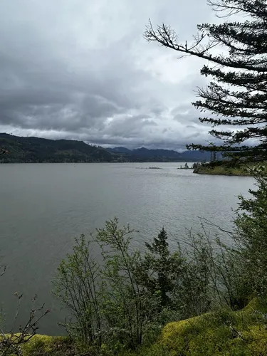 Best Hikes and Trails in Cascade Locks easyCLIMB trailhead | AllTrails