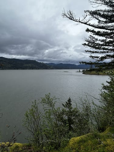 Best Hikes and Trails in Cascade Locks easyCLIMB trailhead | AllTrails