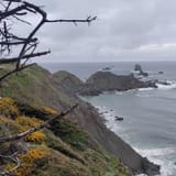 Blacklock Point Trail, Oregon - 339 Reviews, Map | AllTrails