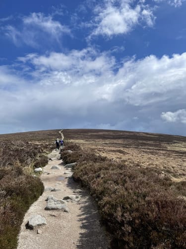 Beste wandelingen en routes in Cruagh Wood | AllTrails