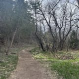 Castor Cut-Off Trail, Colorado - 251 Reviews, Map | AllTrails