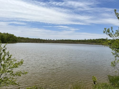 Best Hikes and Trails in Patoka River National Wildlife Refuge | AllTrails