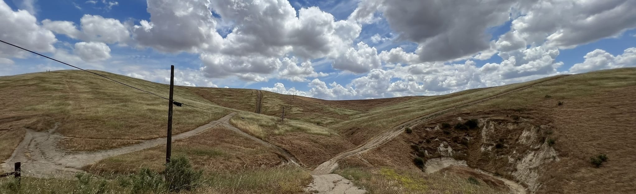 Hart Memorial Park Southern Loop: 535 fotos - Califórnia | AllTrails