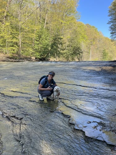 Best Hikes and Trails in Hogback Ridge Metropolitan Park | AllTrails