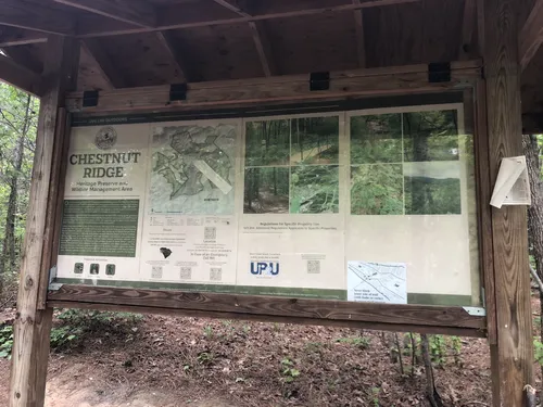 2023 Best Forest Trails in Inman | AllTrails