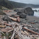 Blacklock Point Trail, Oregon - 339 Reviews, Map | AllTrails