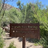 Mule Ear Spring, Texas - 399 Reviews, Map | AllTrails