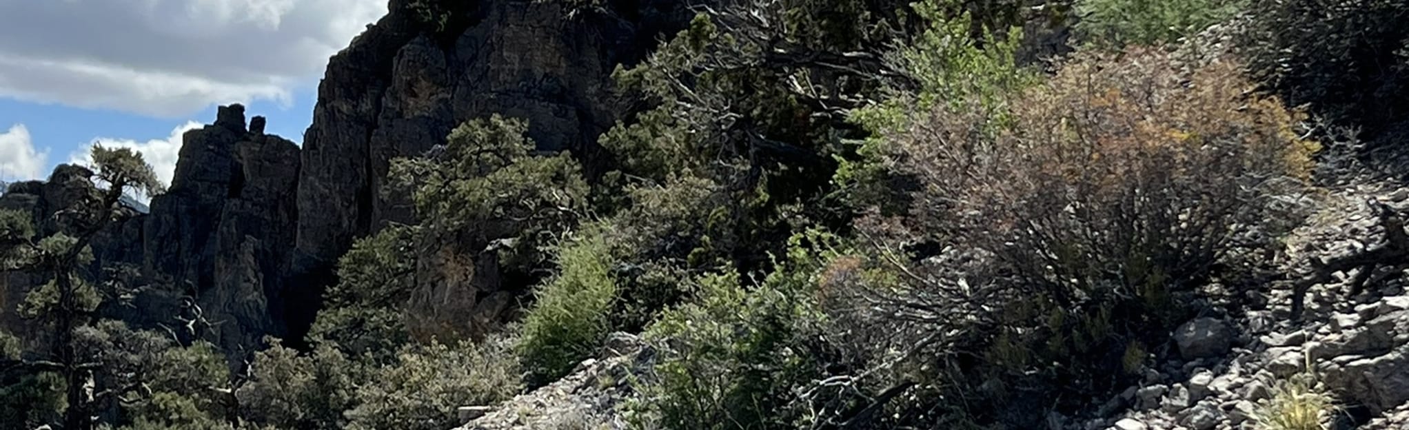 Hidden Arches Trail, Nevada - 423 Reviews, Map | AllTrails