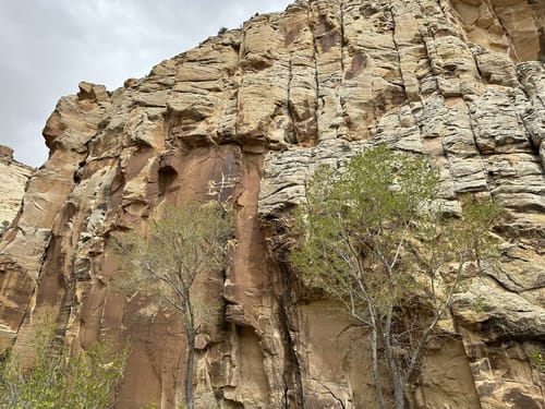 Best Hikes and Trails in Box-Death Hollow Wilderness | AllTrails