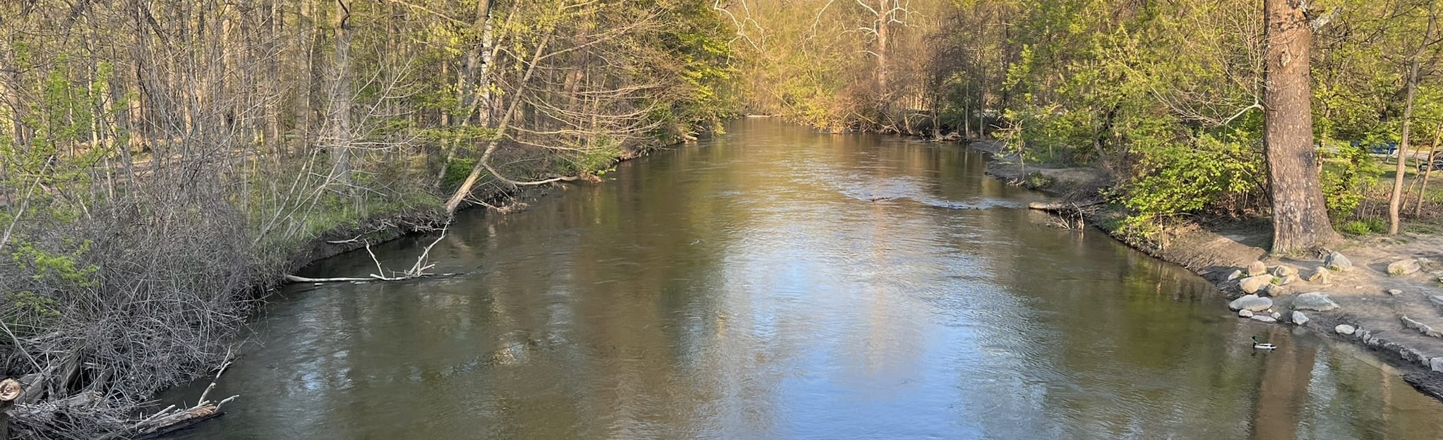 Clinton River Park Trail: 421 Reviews, Map - Michigan | AllTrails