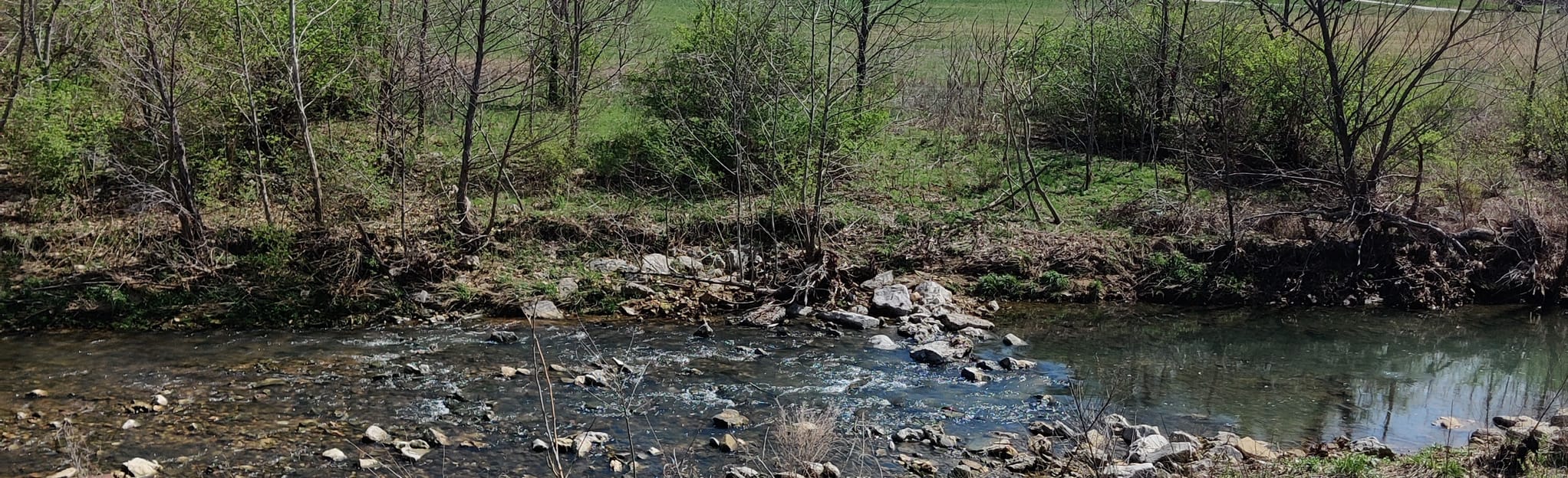 Springfield Lake Trail, Arkansas - 36 Reviews, Map | AllTrails