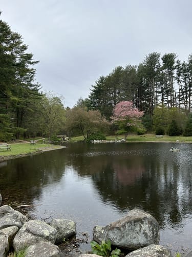 2023 Best Forest Trails in East Walpole | AllTrails