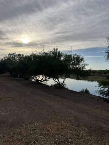 2023 Best Trail Running Trails in Yuma | AllTrails