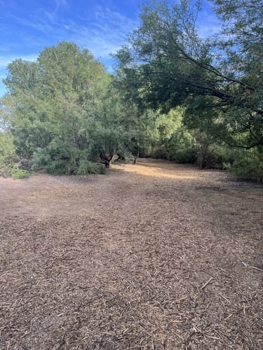 2023 Best Trail Running Trails in Yuma | AllTrails