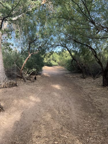 2023 Best Trail Running Trails in Yuma | AllTrails