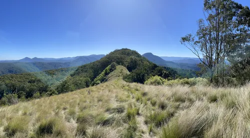 Best Hikes and Trails in Mount Royal National Park | AllTrails