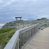 Asilomar State Beach and Coast Trail, California - 836 Reviews, Map ...