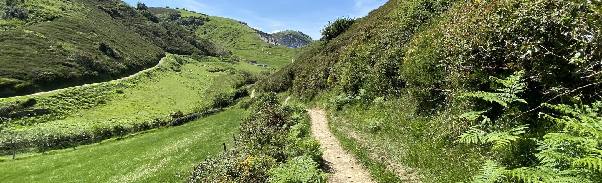 Zumaia - Deba vía GR®121: 140 Reviews, Map - Gipuzkoa, Spain | AllTrails