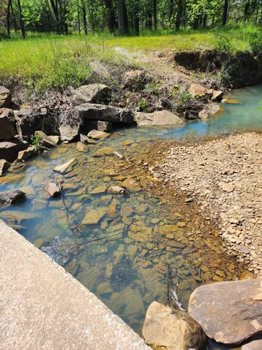 Best Forest Trails in Henryetta | AllTrails