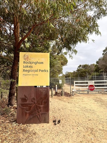 Best Hikes and Trails in Paganoni Swamp Reserve | AllTrails