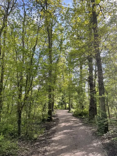 2023 Best Trail Running Trails in Worcester Woods Country Park | AllTrails