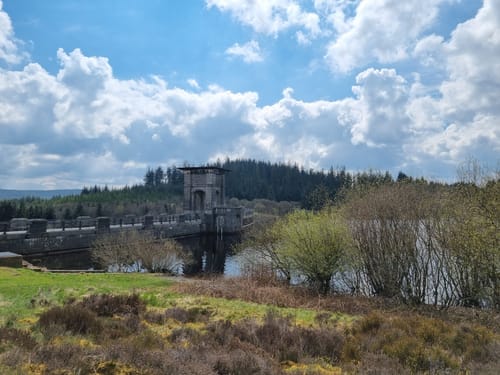 Best Hikes and Trails in Alwen Plantation | AllTrails