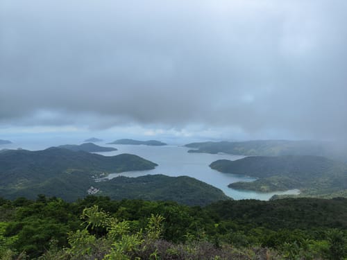 2023 Best 10 Trails, Walks, and Paths in Pak Tam Au | AllTrails