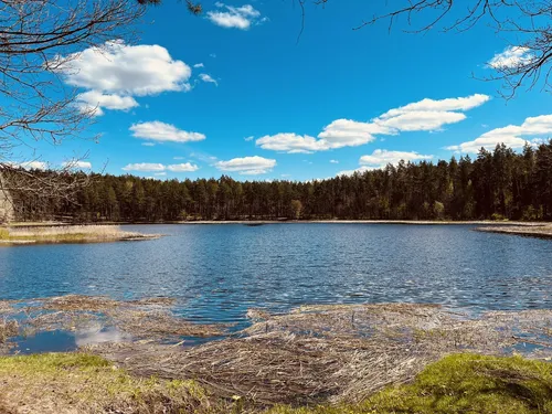 10 Best Trails and Hikes in Lithuania | AllTrails
