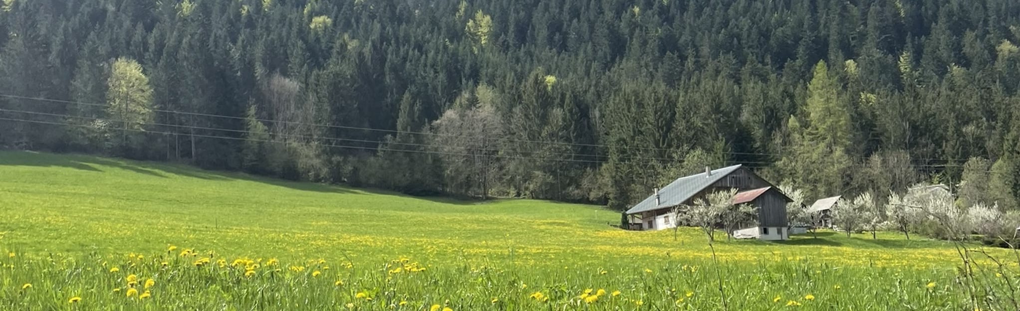 Abondance - Chapelle-d'Abondance: Abondance Valley: 7 Reviews, Map ...