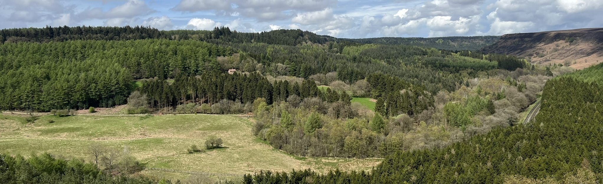 AllTrails | Levisham Moor Circular: 11 Reviews, Map - North Yorkshire ...