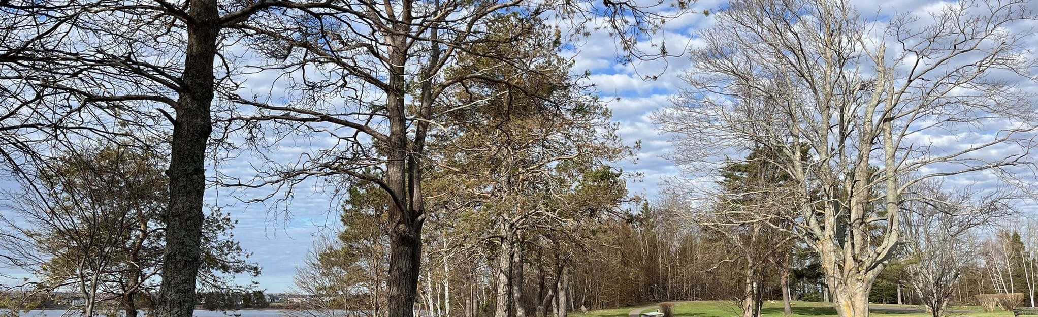 Beach Grove (Full Loop): 56 Reviews, Map - Prince Edward Island, Canada ...