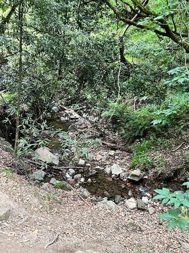 Best Hikes and Trails in Leona Canyon Open Space Regional Preserve ...