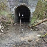 Winston Tunnel Trail, Illinois - 127 Reviews, Map | AllTrails