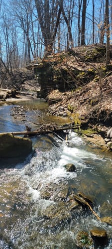 Best Hikes and Trails in Fitzgerald Park | AllTrails