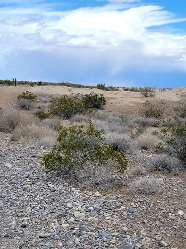 Best Hikes and Trails in Tule Springs Fossil Beds National Monument ...