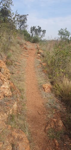 Najlepsze wycieczki i szlaki w Groenkloof Nature Reserve | AllTrails