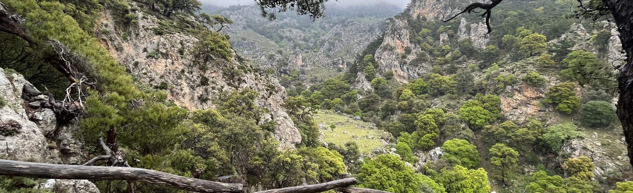 Platania Gorge Loop, Crete, Greece - 30 Reviews, Map | AllTrails