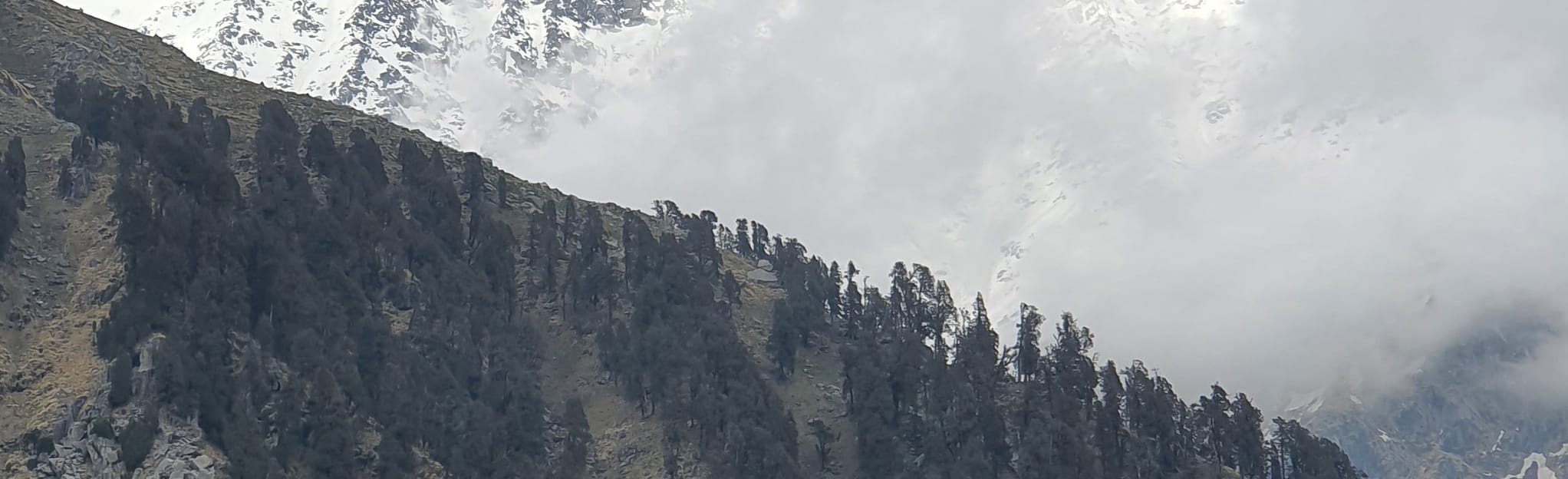 Triund Trek Loop, Himachal Pradesh, India - 87 Reviews, Map | AllTrails