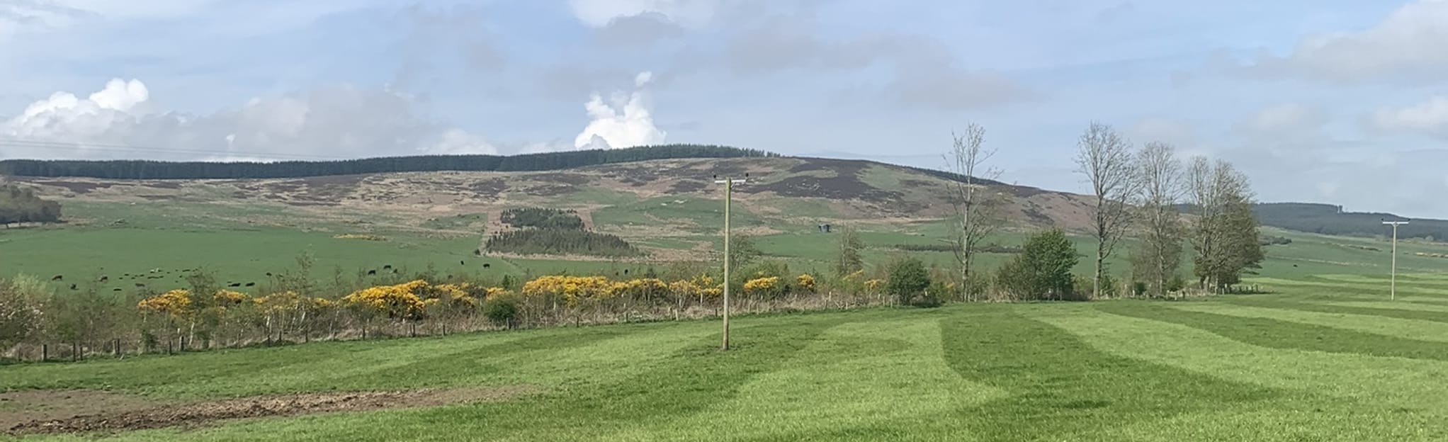 Longframlington to Lamb Crag, Northumberland, England - 10 Reviews, Map ...