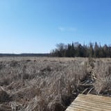 Emily Provincial Park, Ontario, Canada - 52 Reviews, Map | AllTrails