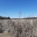 Emily Provincial Park, Ontario, Canada - 52 Reviews, Map | AllTrails