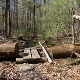 Boston Lot Lake, New Hampshire - 665 Reviews, Map | AllTrails