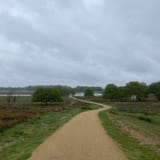 Richmond Park Circular, London, England - 43 Reviews, Map | AllTrails