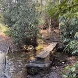 Explorer Loop, North Carolina - 445 Reviews, Map | AllTrails