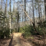 Explorer Loop, North Carolina - 445 Reviews, Map | AllTrails