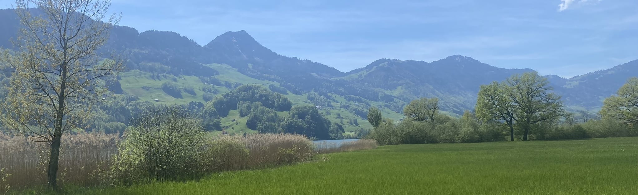 Lake Lauerz Loop from Seewen, Schwyz, Switzerland - 8 Reviews, Map ...