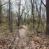 Chief Pontiac Trail, Michigan - 84 Reviews, Map | AllTrails