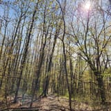 Chief Pontiac Trail, Michigan - 84 Reviews, Map | AllTrails